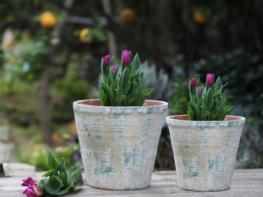 English Tumbled Pots Medium- Set of 2 – JACKALOPE POTTERY
